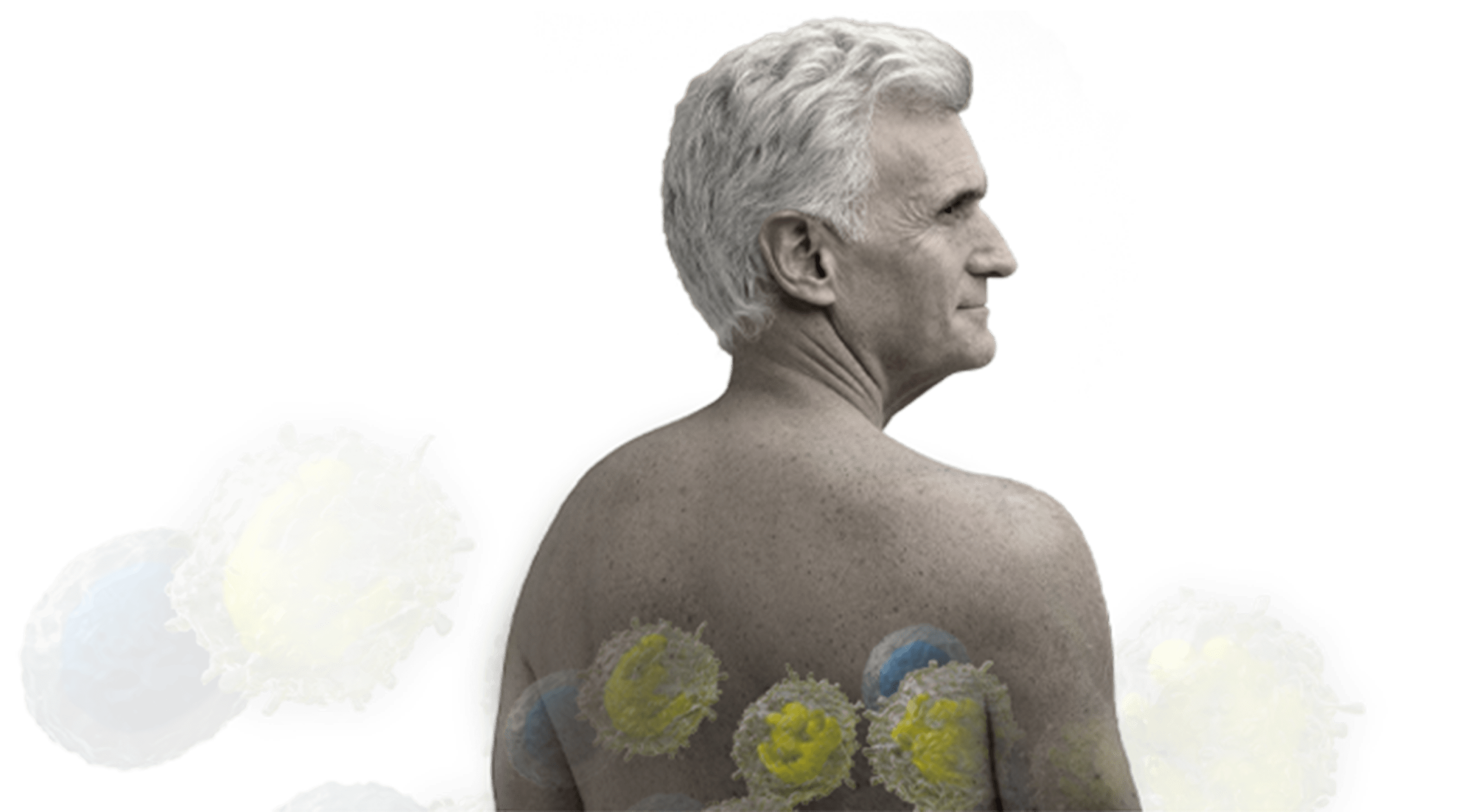 Inside CTCL | Official Website